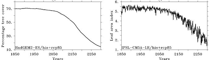 Dieback: how deforestation and climate change could push the Amazon to ...